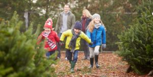 Lesson: Christmas Trees and Jesus - Ministry To Children