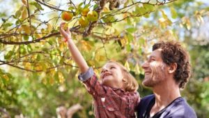 Lesson: Good and Bad Fruit (Luke 6:43-45) - Ministry To Children